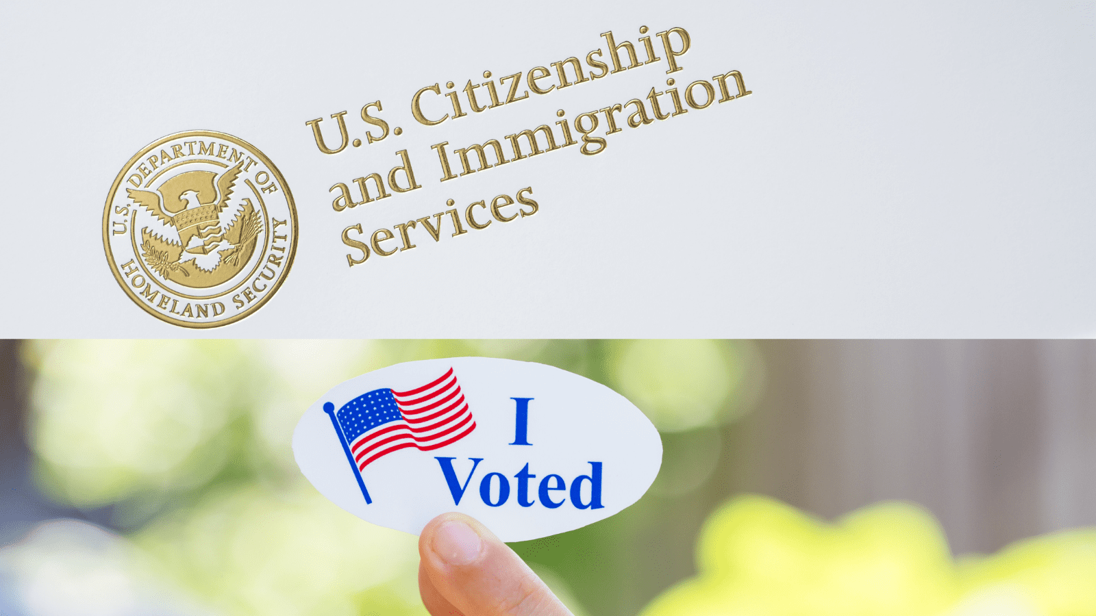 Foreign Nationals Voting in American Elections | Public Interest Legal ...